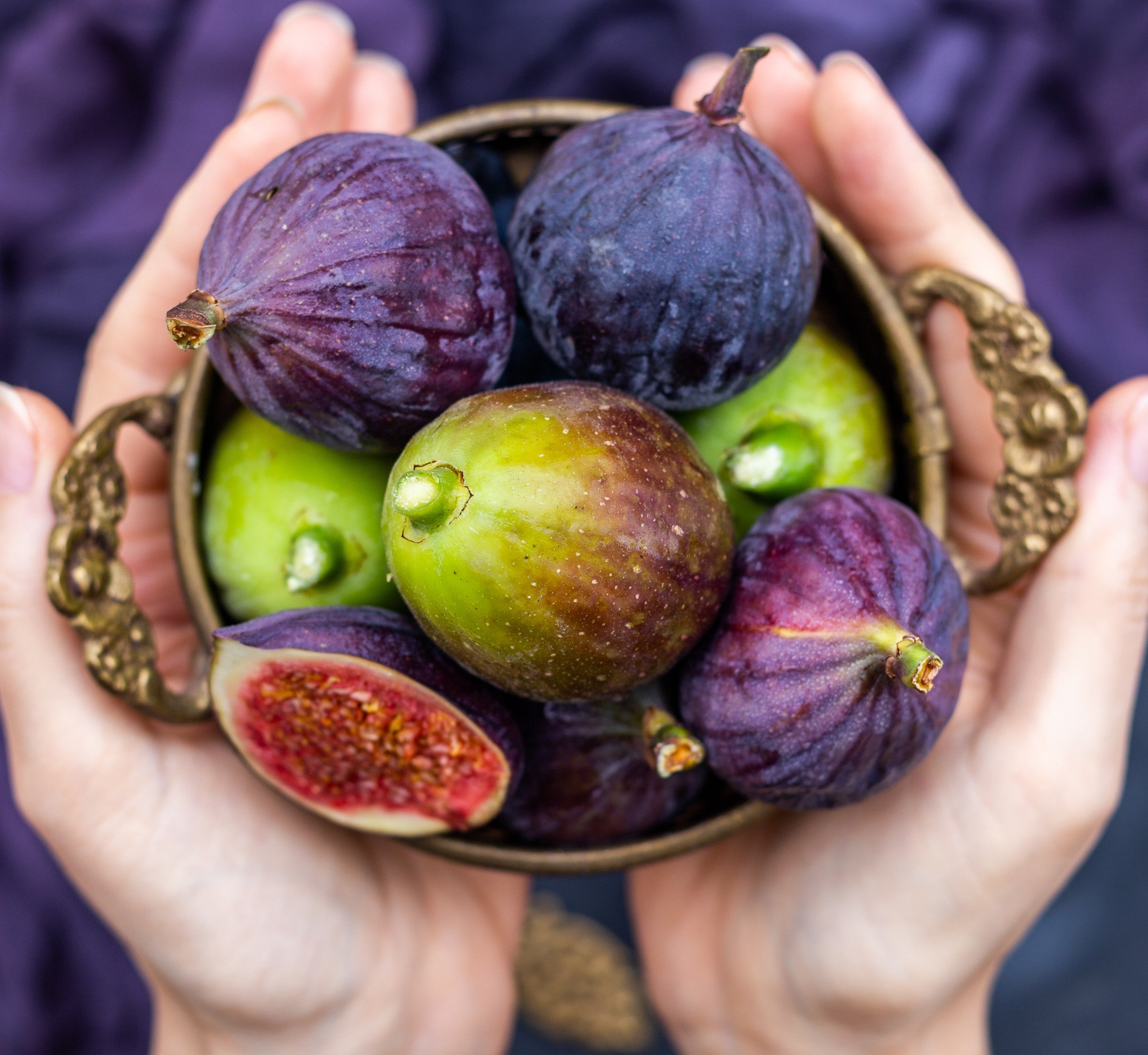 La figue : origine, vertus et recettes de ce fruit de fin d'été